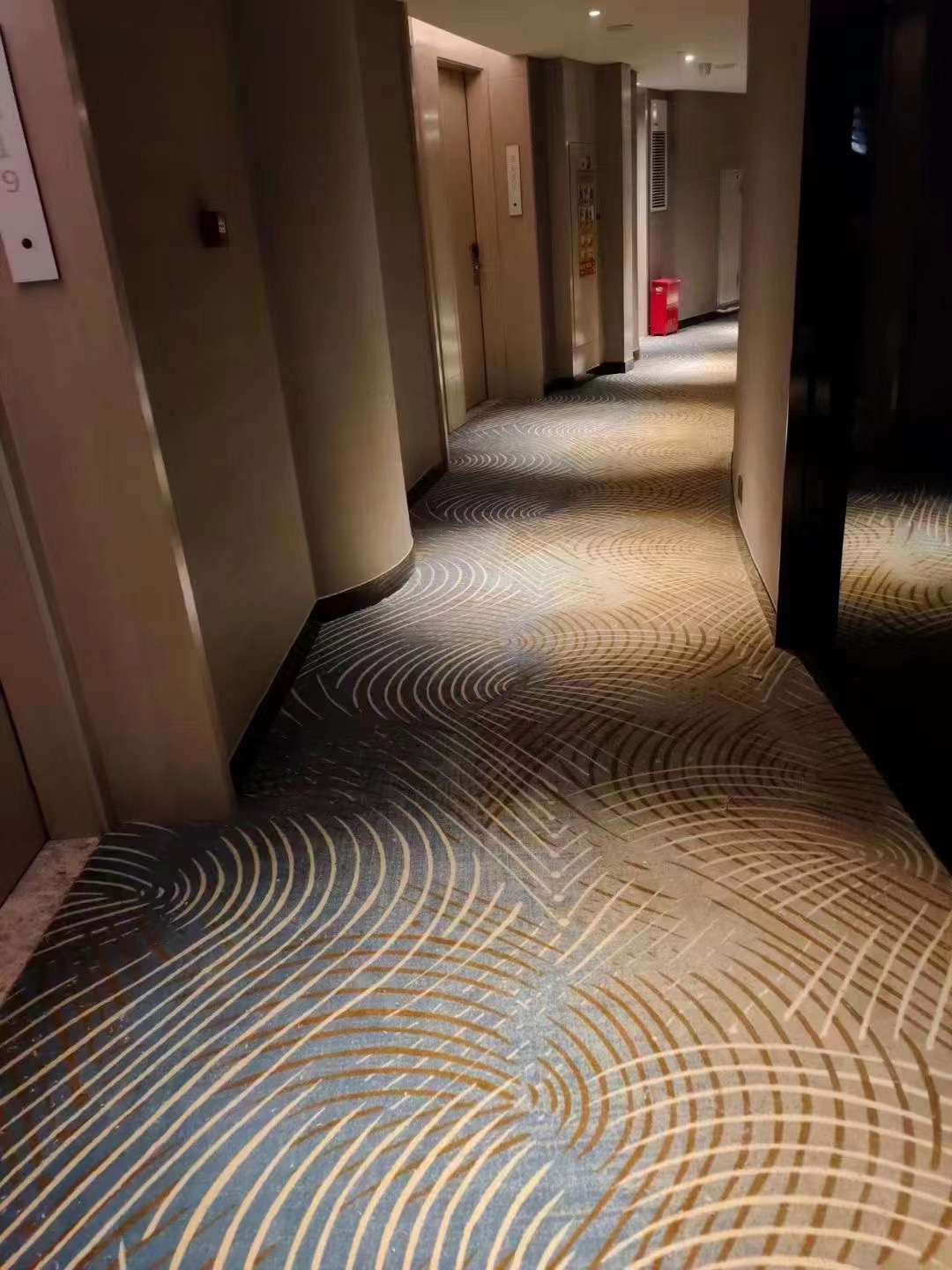 Hotel hallway printed nylon carpet patterned nylon carpet